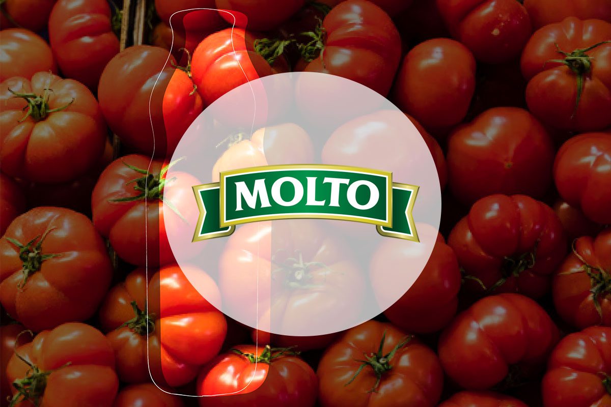Molto - Condimo | Agencia de Marketing Digital